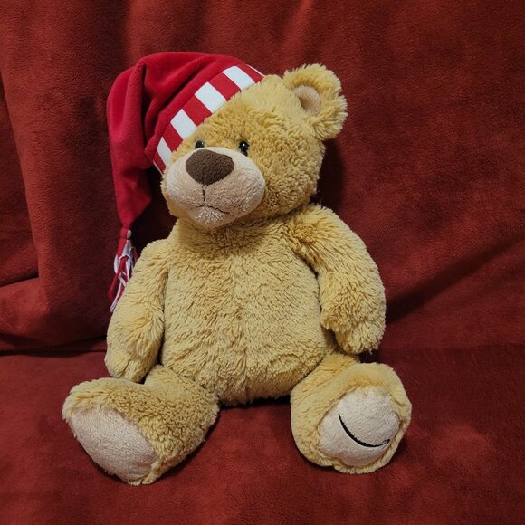 Gund | Toys | Amazon Gund Teddy Bear | Poshmark